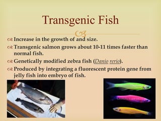 Application of biotechnology and genomics in animals | PPT