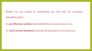 Application of biotechnology in agriculture | PPTX