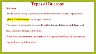 Application of biotechnology in agriculture | PPTX