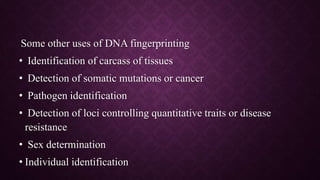Application of biotechnology in forensic | PPTX