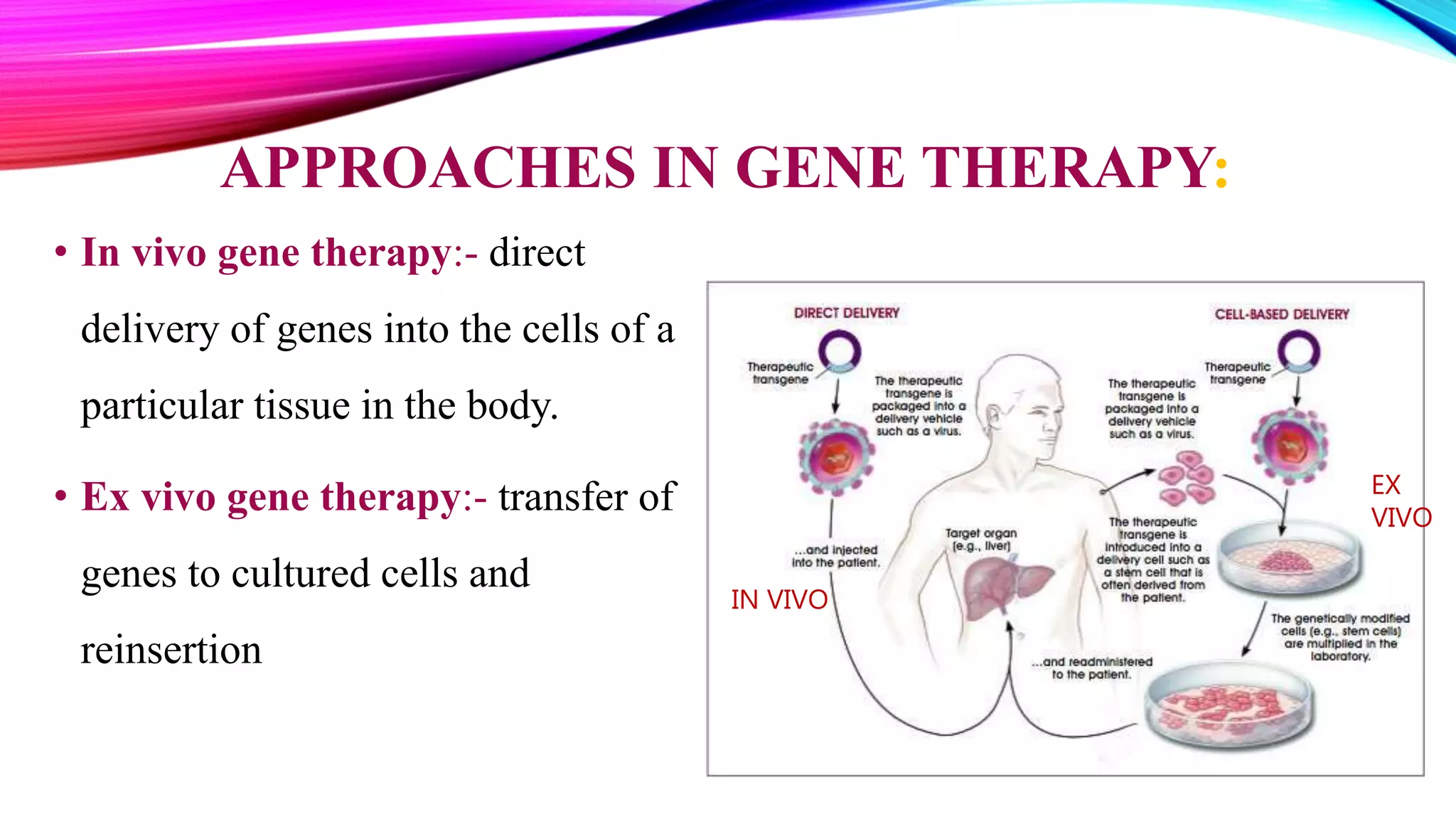 Application of biotechnology in medicine | PPTX