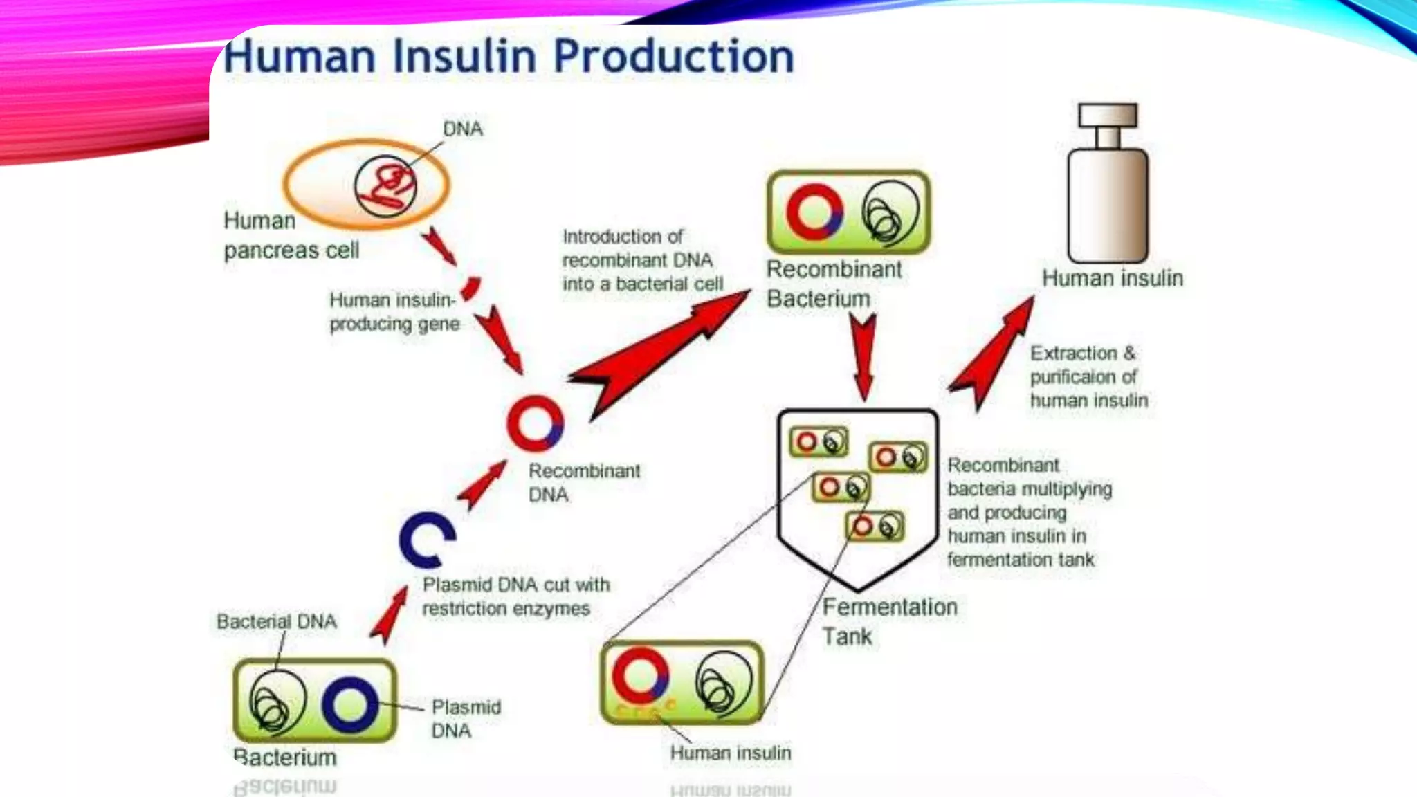 Application of biotechnology in medicine | PPTX