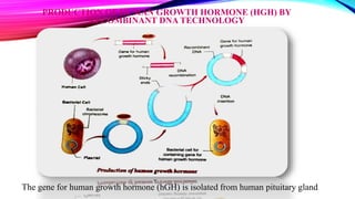 Application of biotechnology in medicine | PPTX