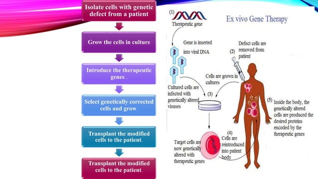 Application of biotechnology in medicine | PPTX | Endocrine and ...