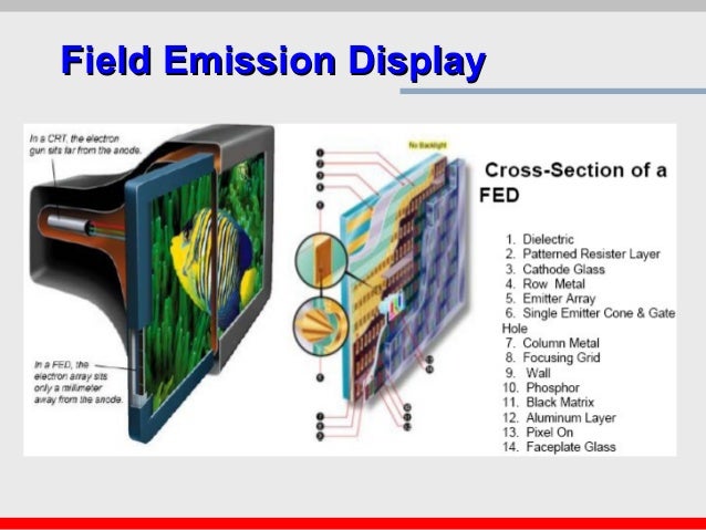 Application of carbon nanotube in fed display