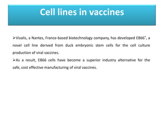 Application of cell line | PPTX