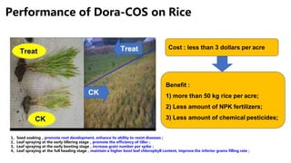 Application of chitosan oligosaccharide in agriculture | PPTX