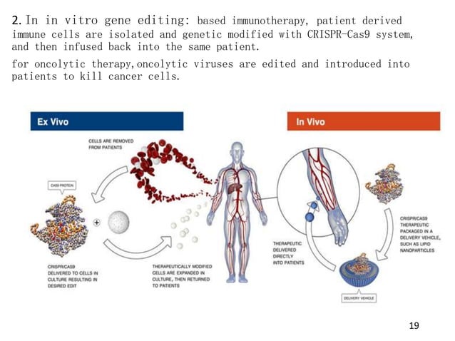 Application of crispr in cancer therapy | PPTX