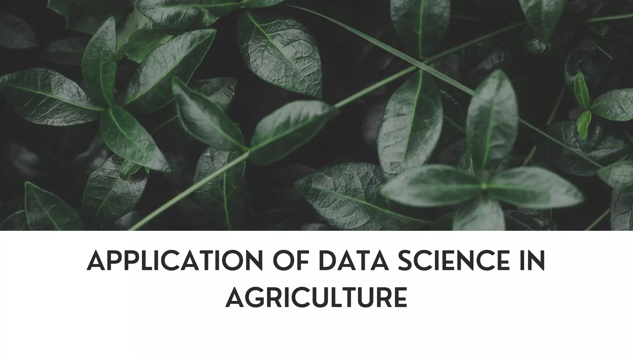 application of datascience in agriculture.pdf