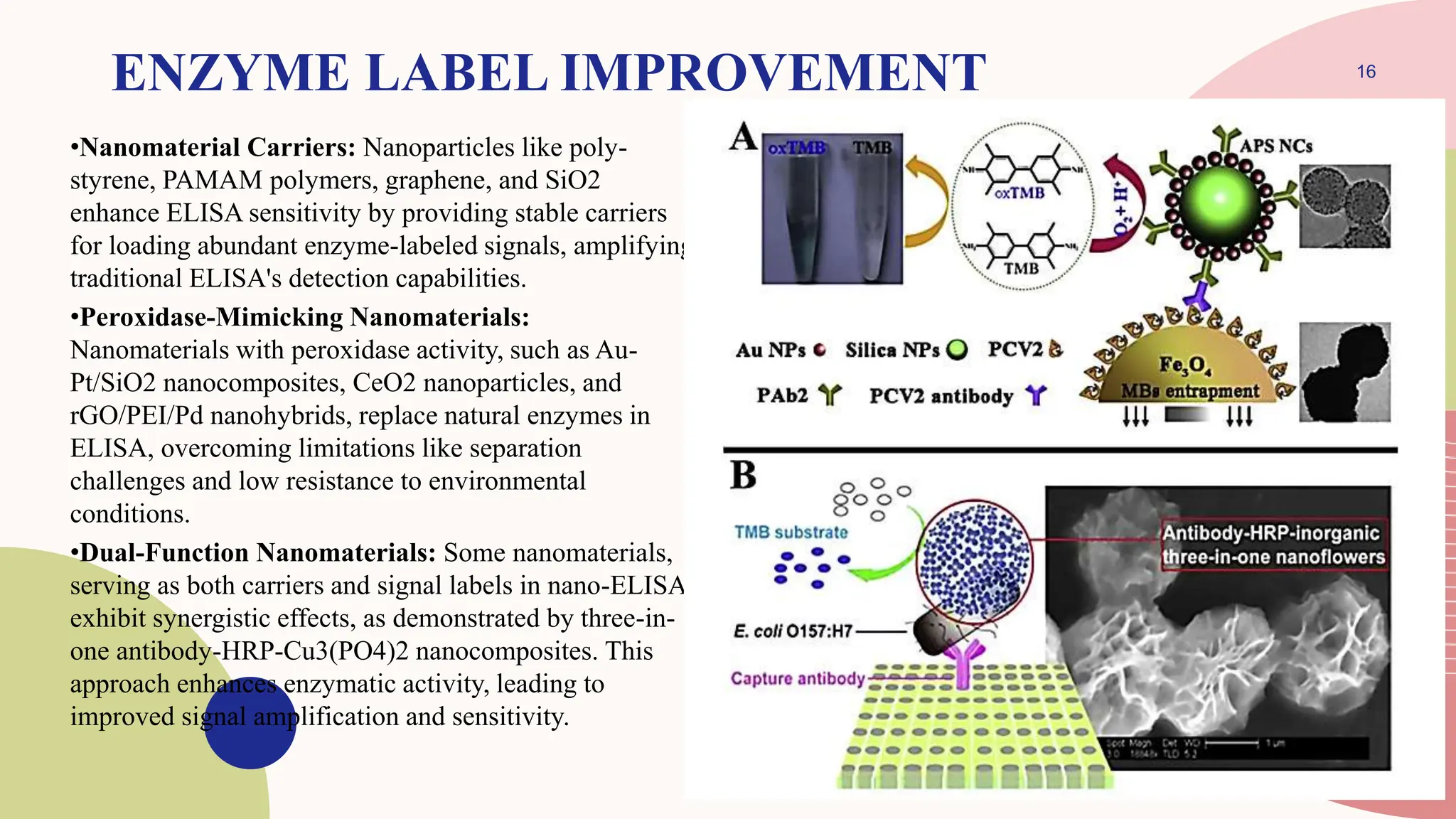 Application of ELISA in food analysis.pptx