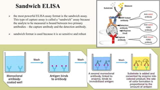 Application of ELISA in food analysis.pptx
