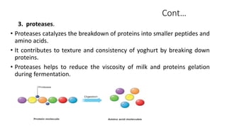 APPLICATION OF ENZYME FINAL FINAL FINAL presentation.pptx
