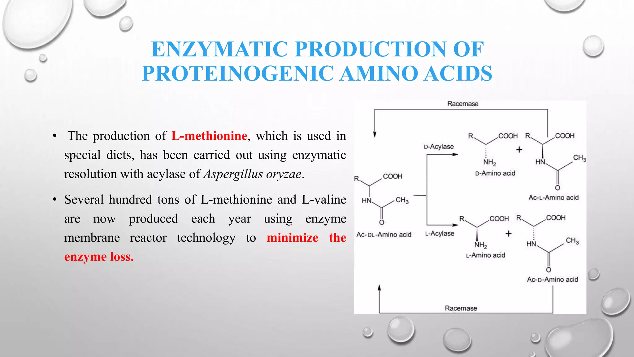 APPLICATION OF ENZYMES FOR PHARMACEUTICAL INDUSTRIES.pptx