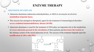 APPLICATION OF ENZYMES FOR PHARMACEUTICAL INDUSTRIES.pptx