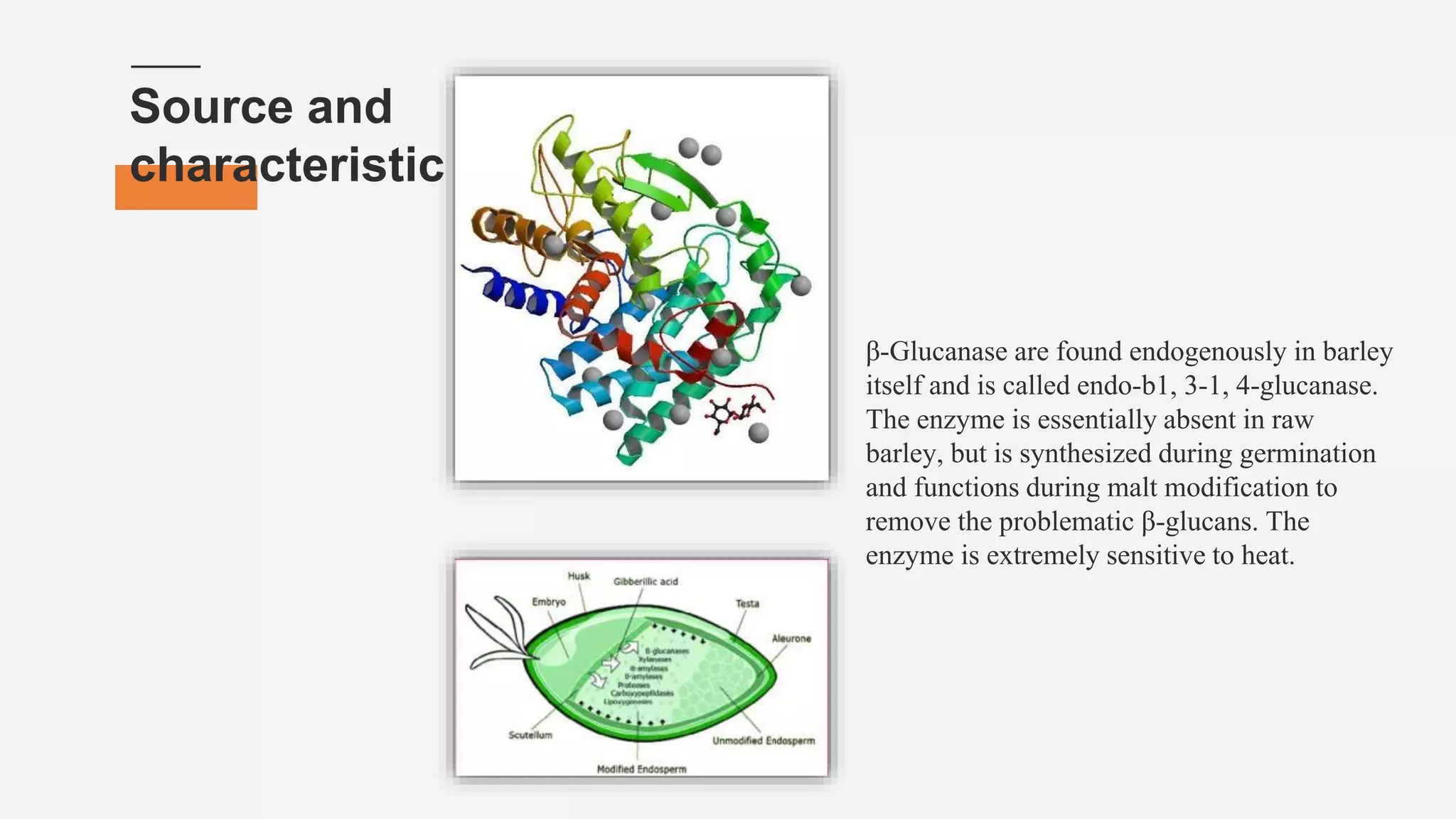 Application of enzymes in beer brewing process.pptx