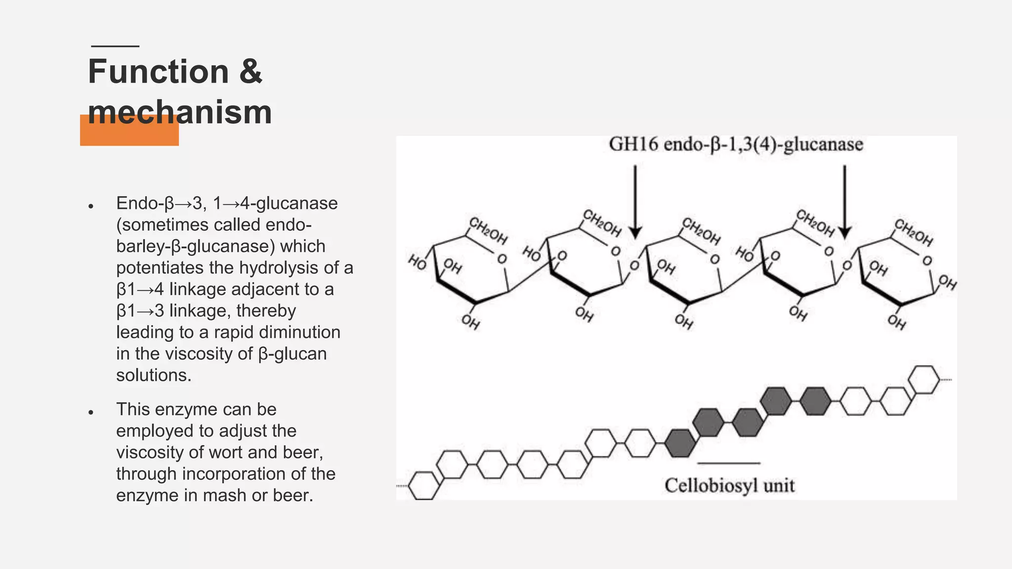 Application of enzymes in beer brewing process.pptx