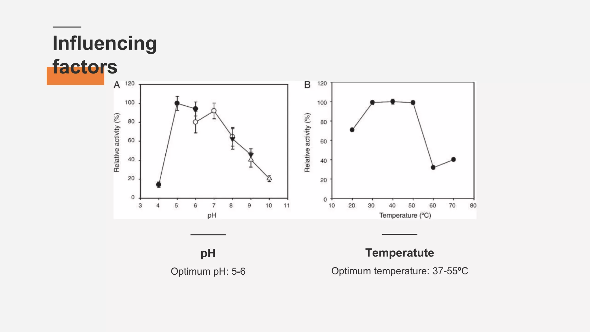 Application of enzymes in beer brewing process.pptx