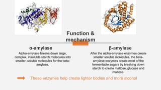 Application of enzymes in beer brewing process.pptx