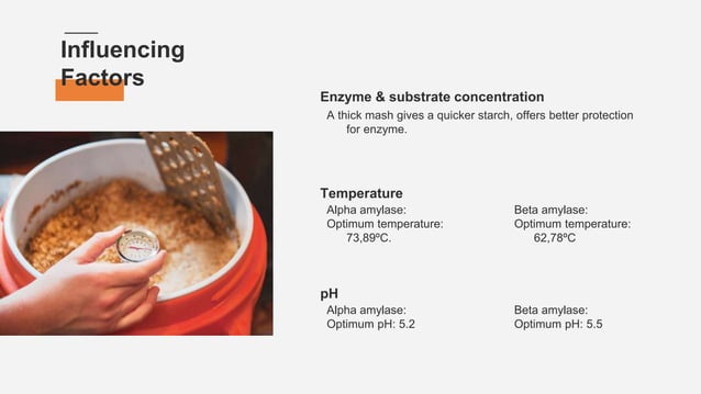 Application of enzymes in beer brewing process.pptx