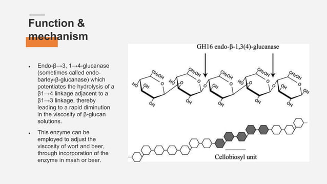 Application of enzymes in beer brewing process.pptx