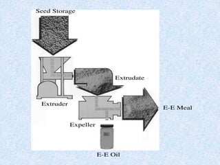 Application of expanders and extruders for oil seed processing | PPT