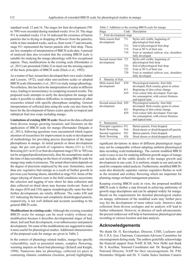 Application of extended bbch scale for phenological | PDF | Biological ...