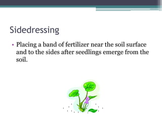 Application of fertilizers and calculation of fertilizers dose | PPTX
