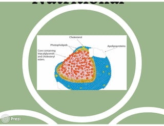 Application of functional lipids in food products | PPT