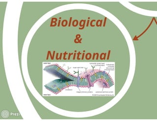 Application of functional lipids in food products | PPT