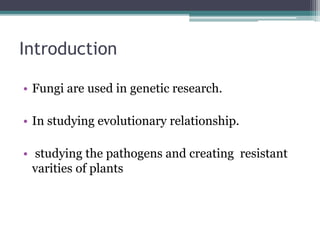 Application of fungi in genetics | PPTX