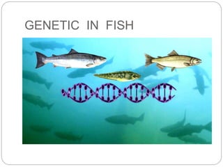 Application of genetic in aquaculture | PPTX