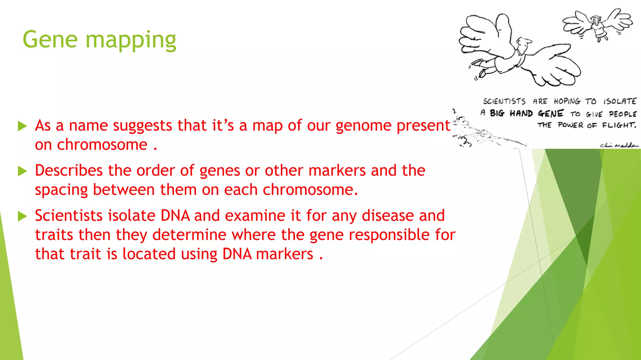 Application of genetic mapping | PPT