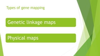 Application of genetic mapping | PPTX
