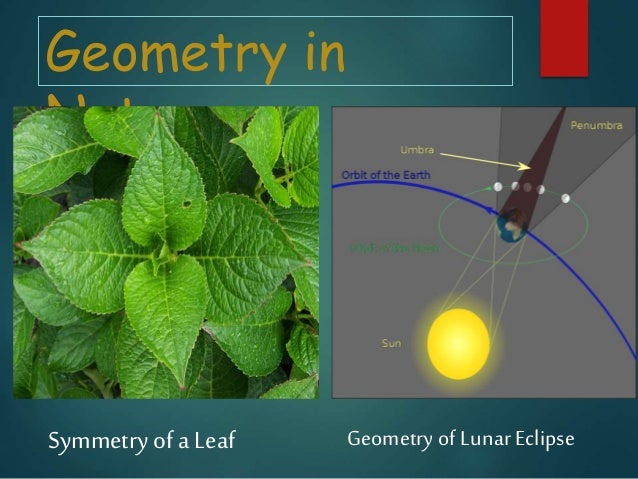 Application of geometry in real life