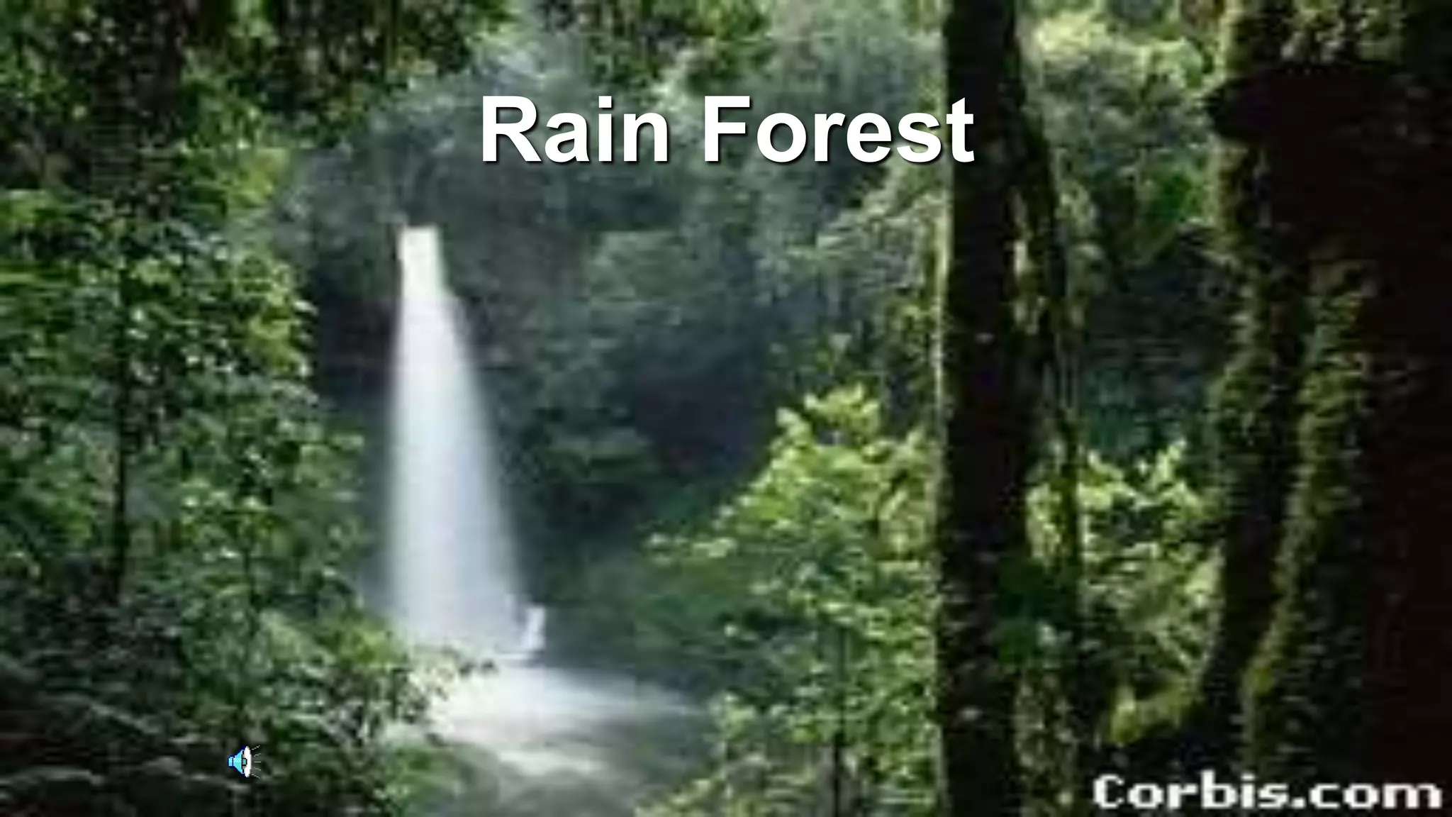 Application of gis for forest study | PPTX