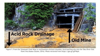 Application of GIS in Mine Contamination and Associated Environmental ...