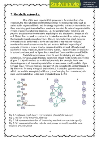 Application Of Graph Theory | PDF