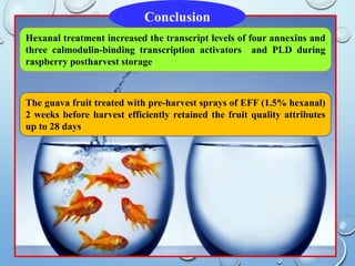 Application of hexanal for quality retention and shelf life extension ...