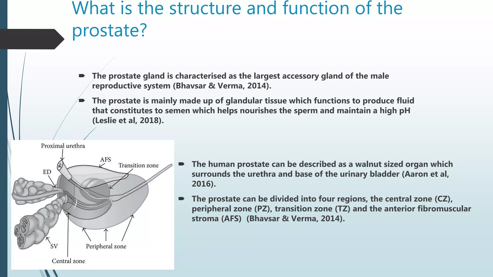 Application of immunotherapy therapeutics in prostate adenocarcinoma slides | PPT