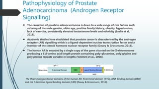 Application of immunotherapy therapeutics in prostate adenocarcinoma ...