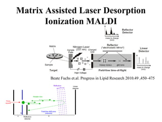 Application of maldi msi in lipid | PPT
