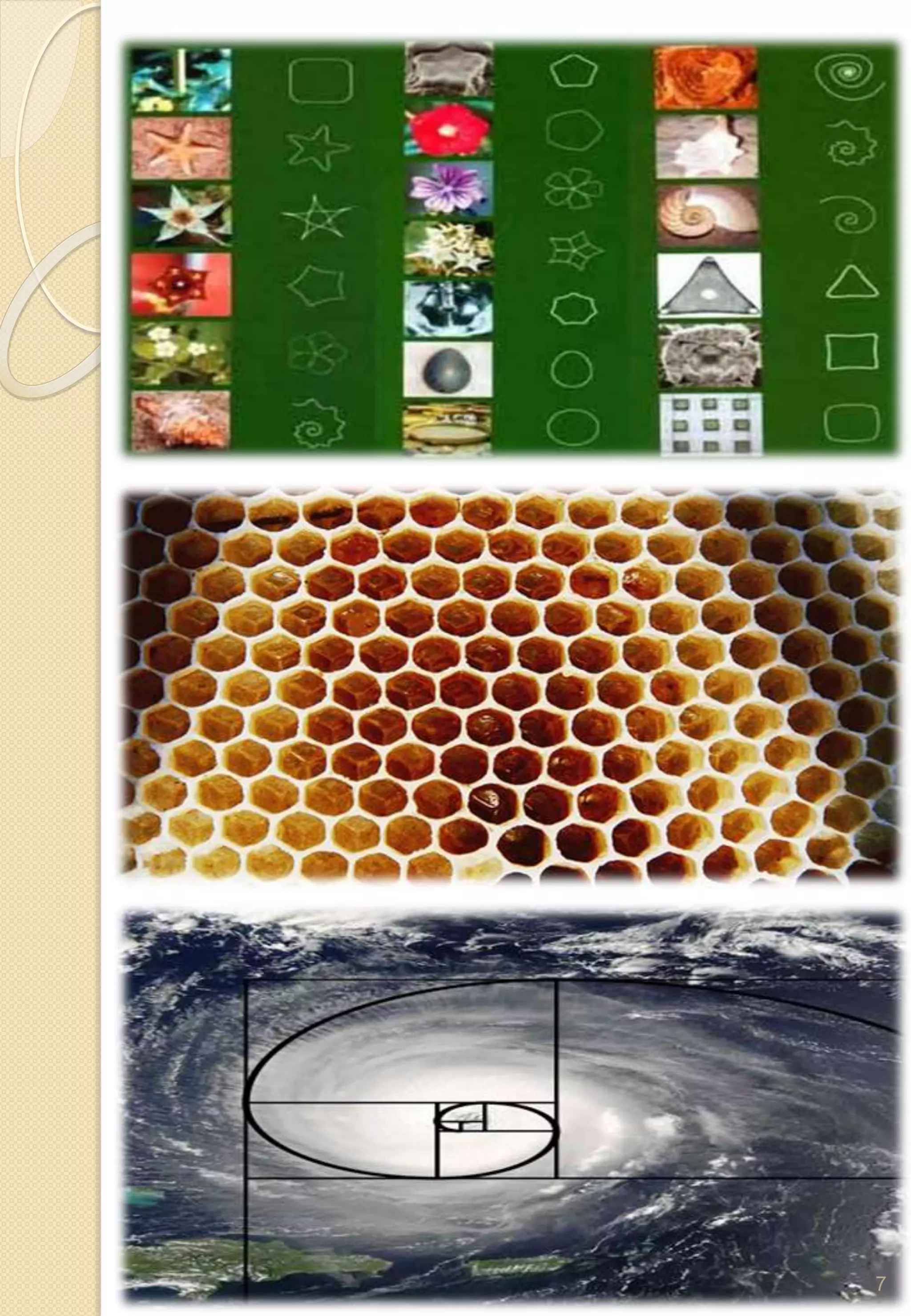 Application of mathematics in daily life | PPTX