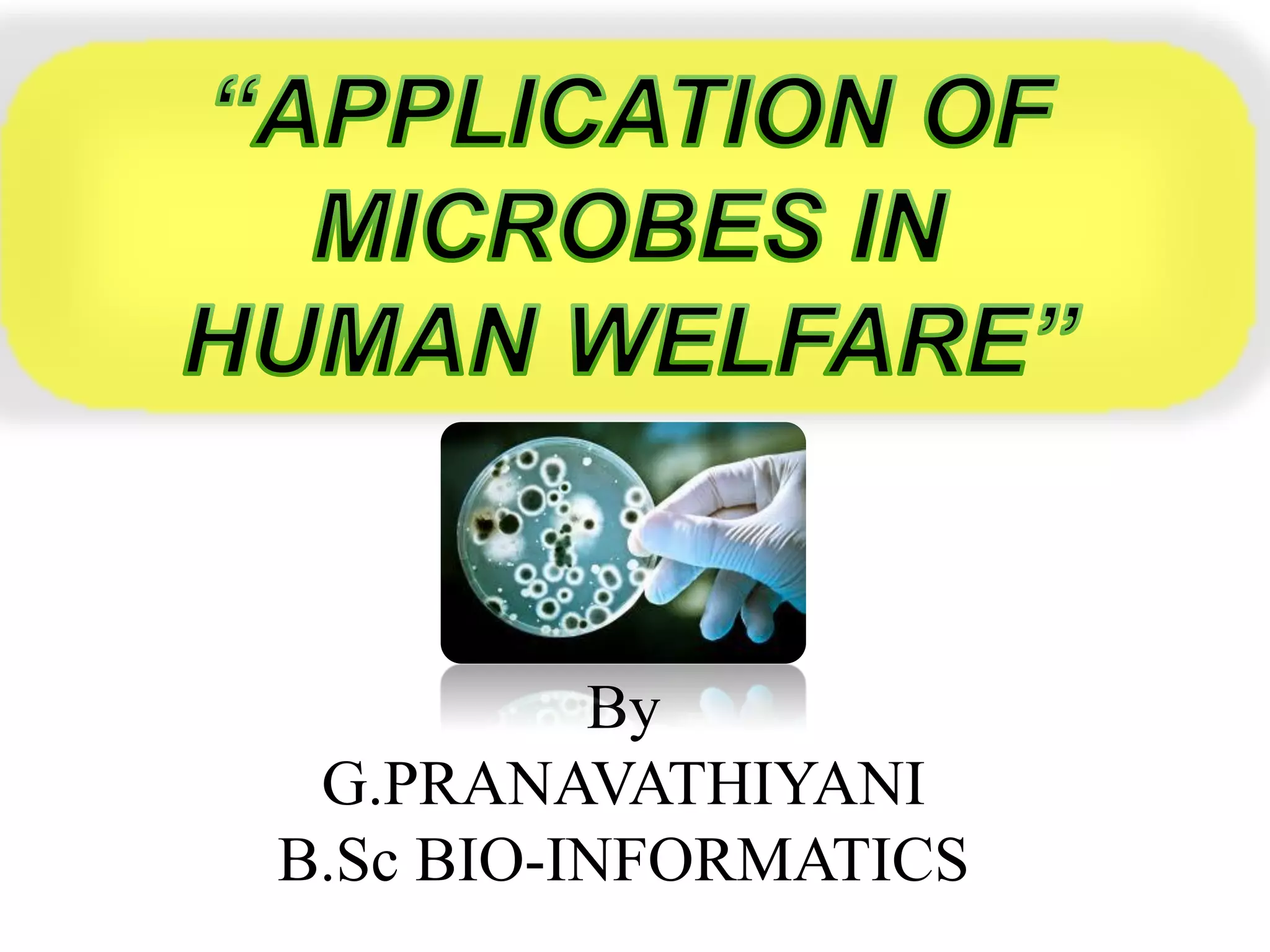 Application of Microbes in Human Welfare | PDF