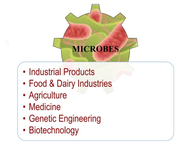 Application of Microbes in Human Welfare | PDF | Gardening | Home & Garden