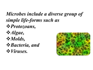 Application of Microbes in Human Welfare | PDF | Gardening | Home & Garden