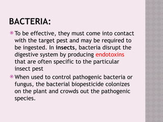 Application of microbial biopesticide against different type of.pptx