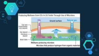 Applications of Microbial biotechnology.pptx
