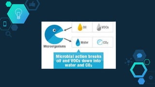 Applications of Microbial biotechnology.pptx