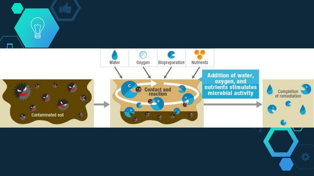 Applications of Microbial biotechnology.pptx