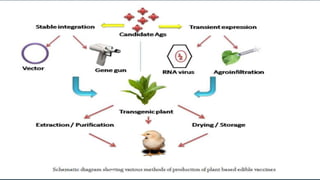 Applications of Microbial biotechnology.pptx